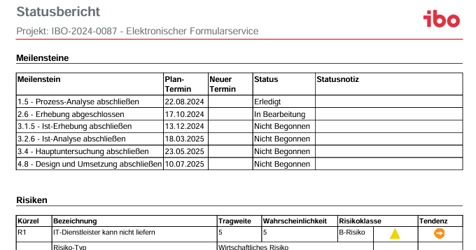 Projektstatusbericht: Basis für fundierte Entscheidungen | ibo Gruppe